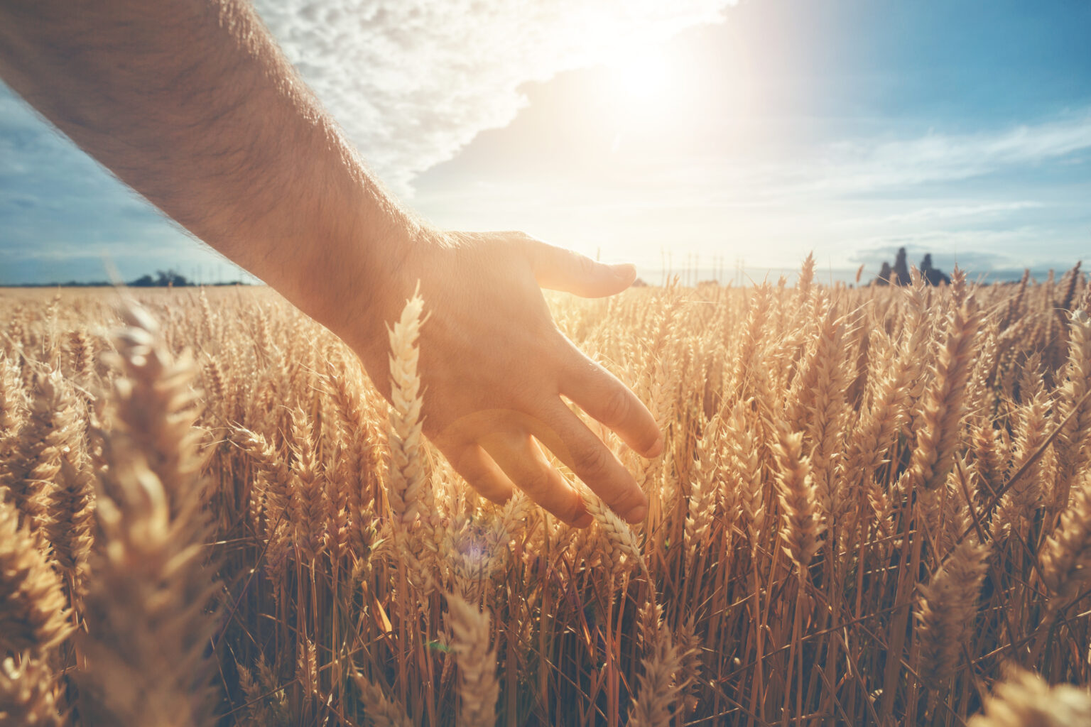 Detailed Study on High Reactivity of CH-Bioforce Oat Husk Lignin